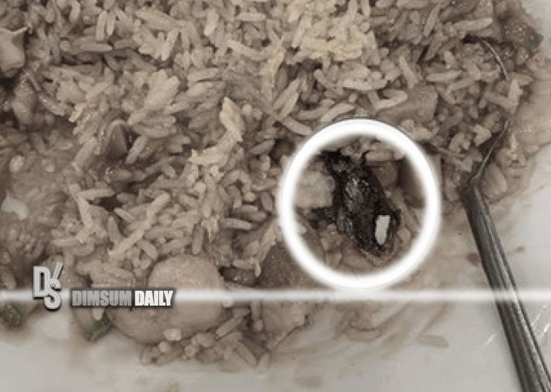 2 men arrested for putting cockroach in fried rice in a restaurant in ...