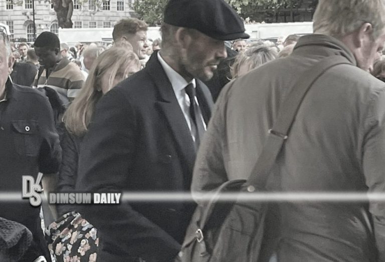 David Beckham's 12-hour wait in queue to see Queen Elizabeth lying in ...