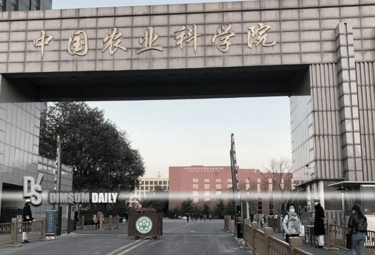 China releases report on food, nutrition - Dimsum Daily