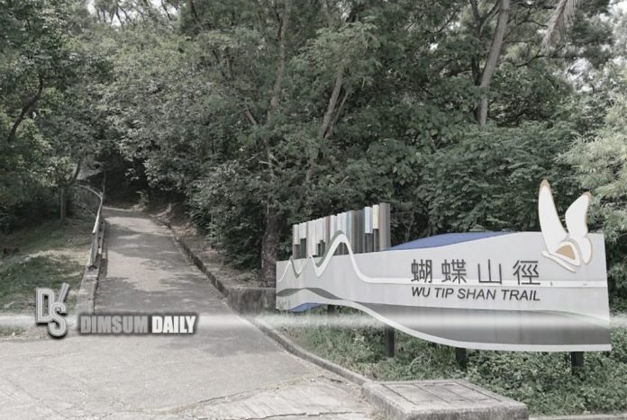 Man falls 3m down hillside during morning exercise at Wu Tip Shan Trail ...