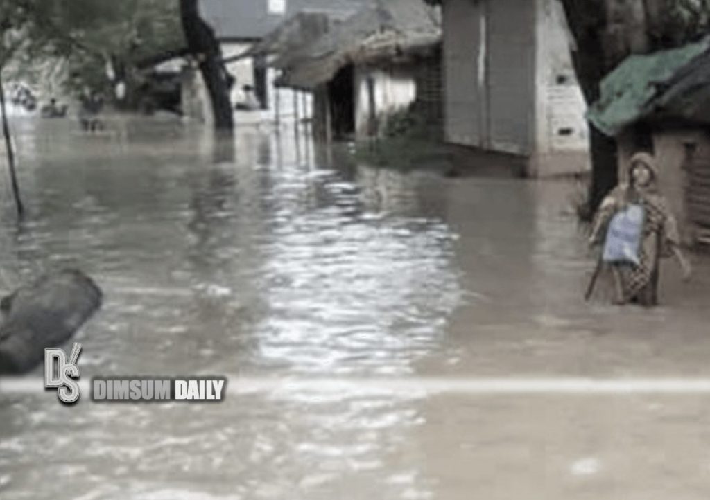 8 killed, 13 injured during idol immersion in India's West Bengal - Dimsum Daily