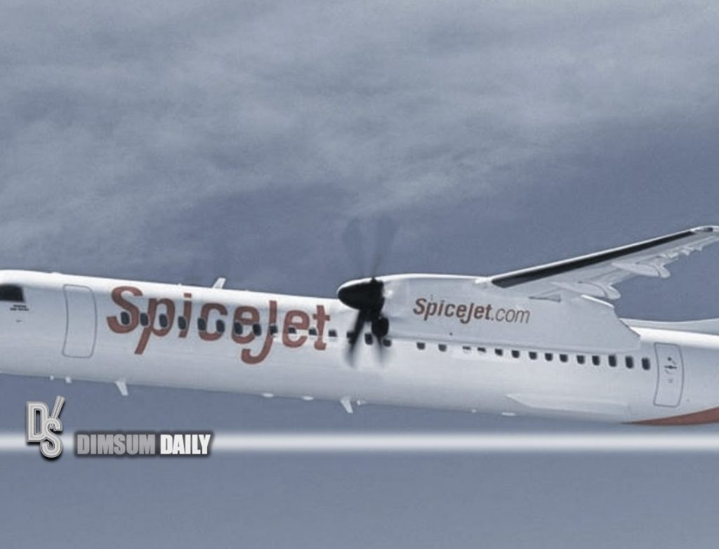 India's civil aviation watchdog warns of action following detection of ...