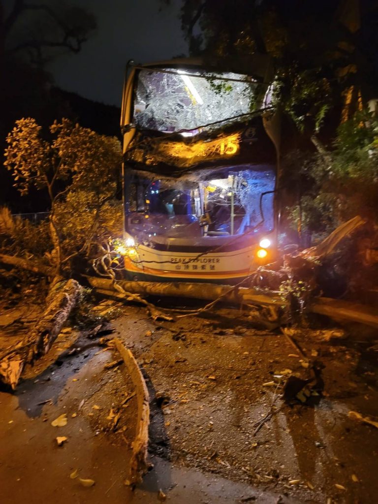 7 injuries reported after bus crushed by tree near Peak Sub-Division ...