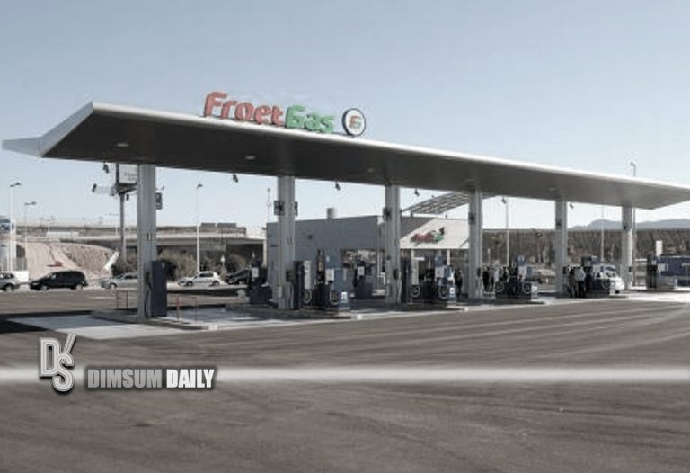 Over 1 in 4 French gas stations out of at least one fuel - Dimsum Daily