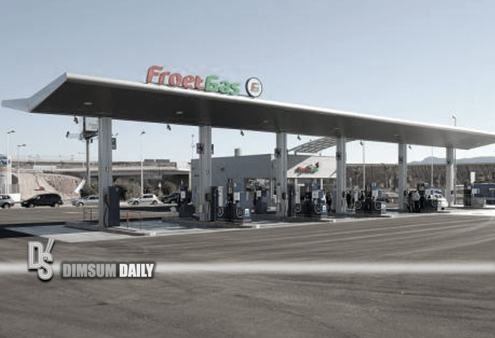 Over 1 in 4 French gas stations out of at least one fuel - Dimsum Daily