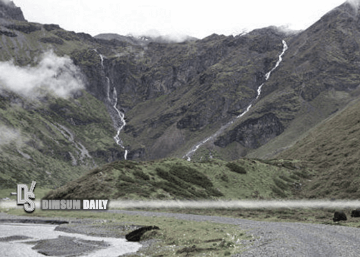 CHP closely monitors plague case in Shannan involving 38-year-old man ...