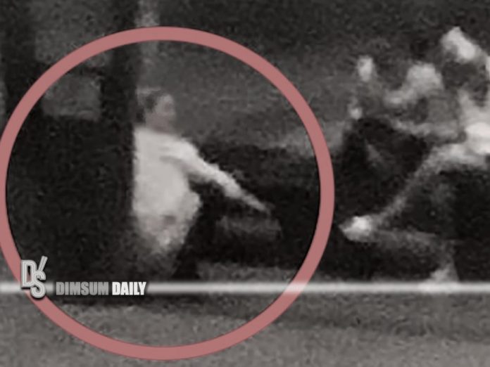 CCTV footage captures Amber Heard squats and poops on the street after ...