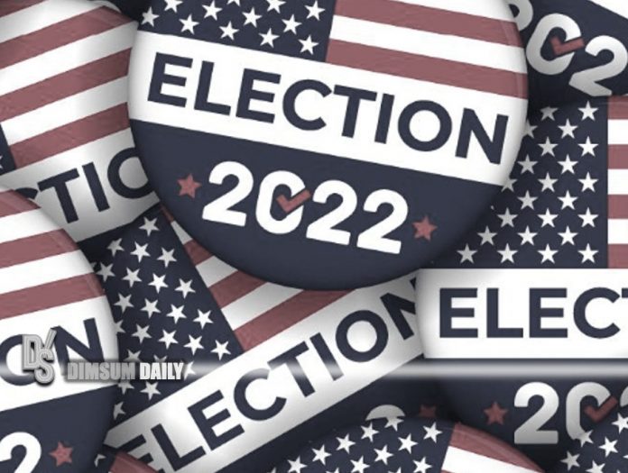 Concerned voters go to polls in divided U.S. midterm elections - Dimsum Daily