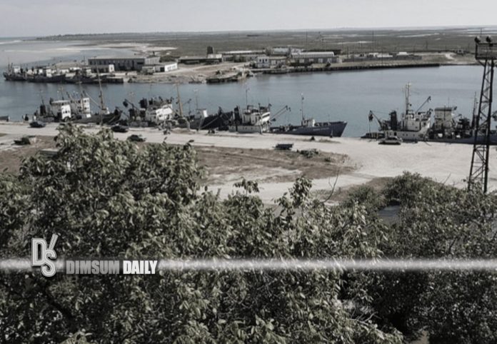 Genichesk becomes Kherson Region’s temporary capital, official says ...