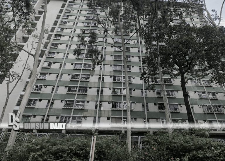 Man falls to his death from top of building in Shek Wai Kok Estate in ...