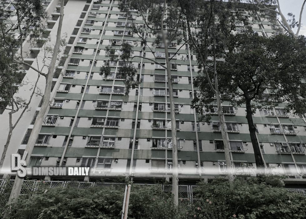 Man falls to his death from top of building in Shek Wai Kok Estate in ...