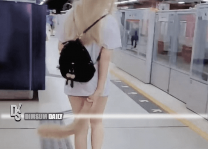 Woman wearing fox tail anal plug sex toy spotted in MTR station - Dimsum Daily