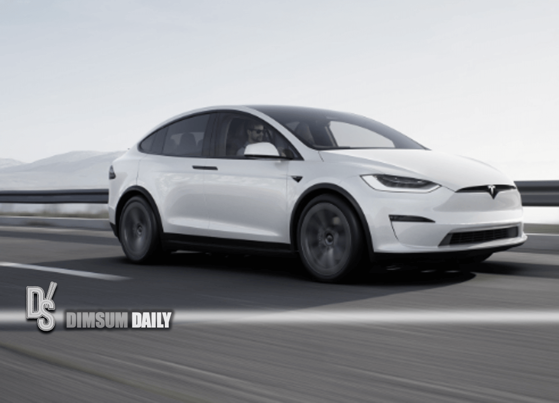 Tesla recalls 30,000 vehicles over airbag issue - Dimsum Daily