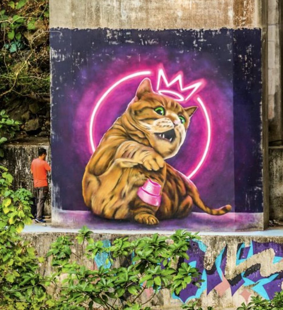 Russian graffiti artist Vladimir who created cat mural on Tai Mo Shan ...