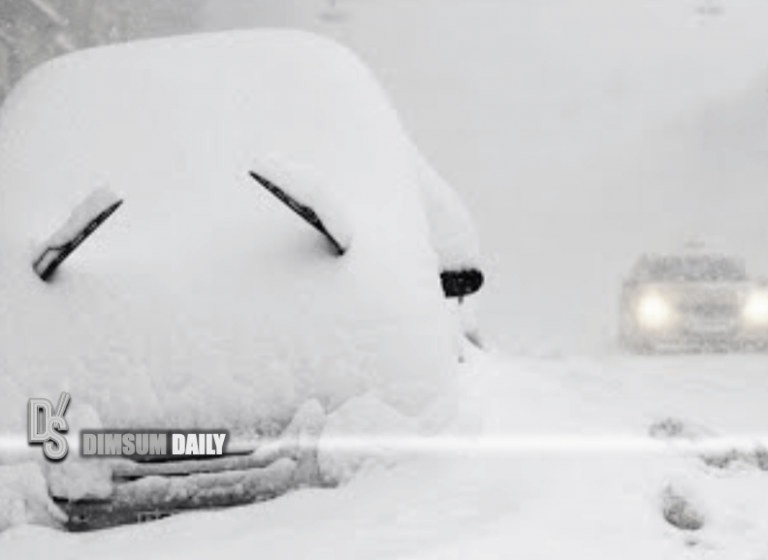 Blizzards paralyse large part of Sweden - Dimsum Daily