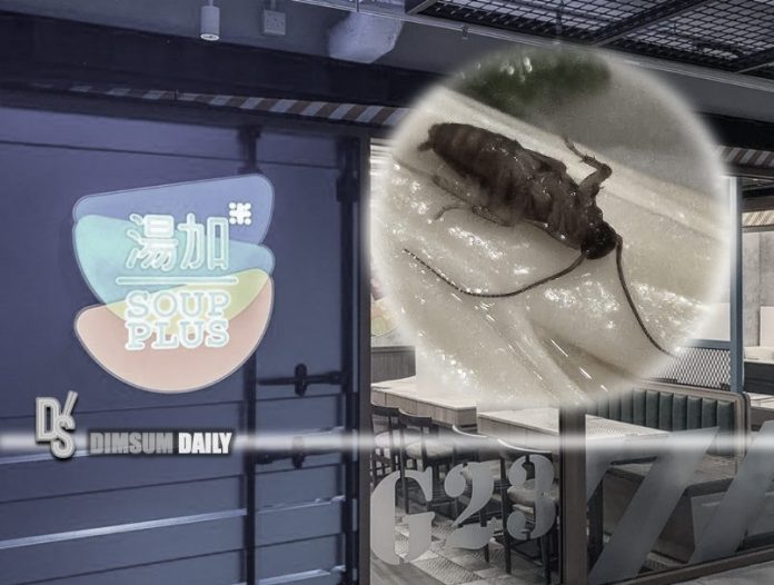 Giant cockroach found in noodles at chain restaurant, Yu Mai Soup Plus in Cheung Sha Wan, waiter ...