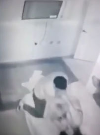 4_4_57 - Dimsum Daily