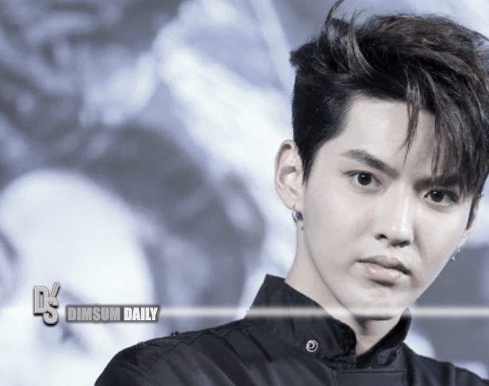 Mainland and Canadian singer Kris Wu sentenced to 13 years in in prison - Dimsum Daily