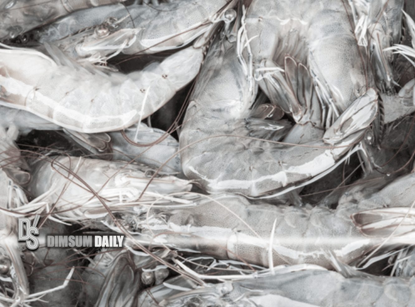 VANNAMEI WHITE SHRIMP - Dimsum Daily
