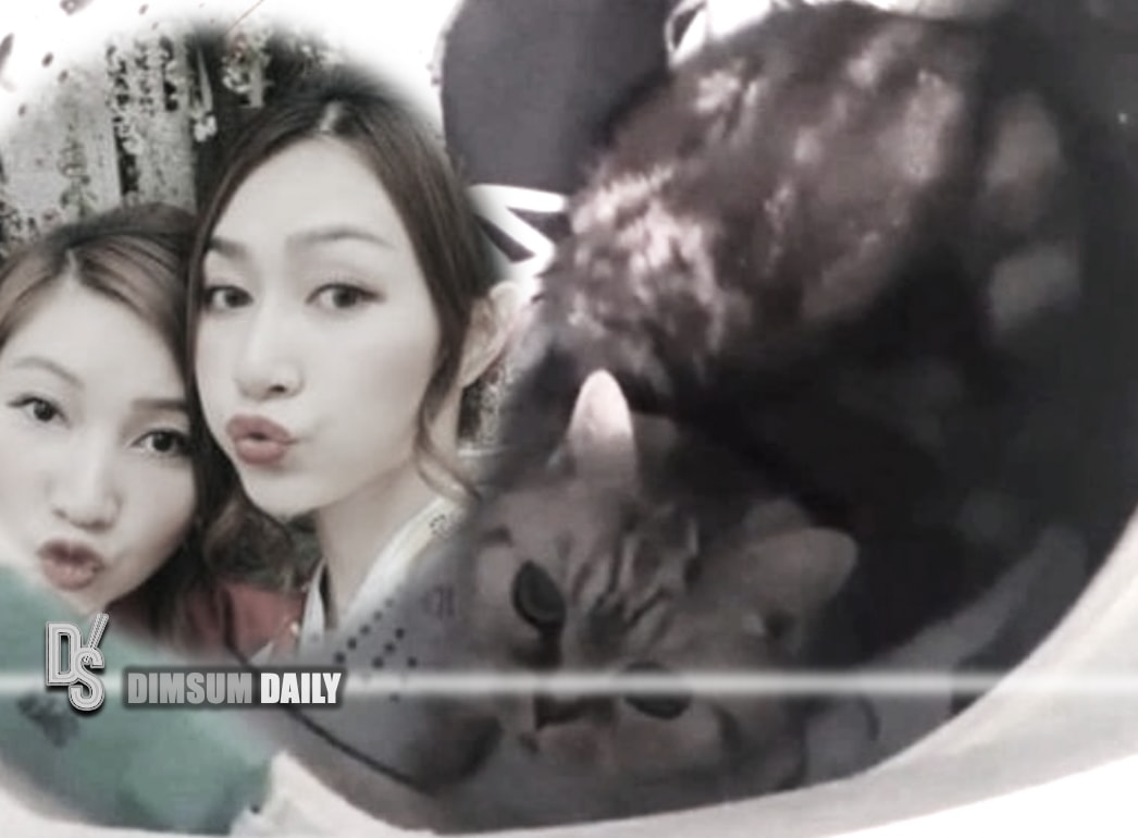 Court of First Instance overturns conviction of Miss HK 2019's sister ...