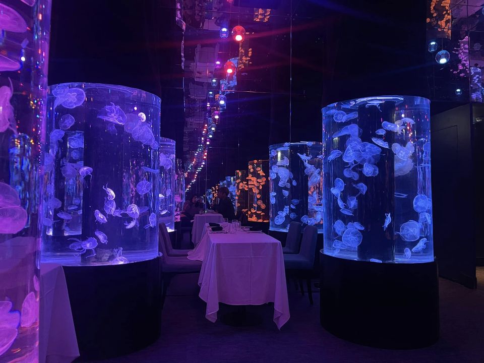 Netizen shares bad dining experience at Cube O CAFE in jellyfish-themed ...