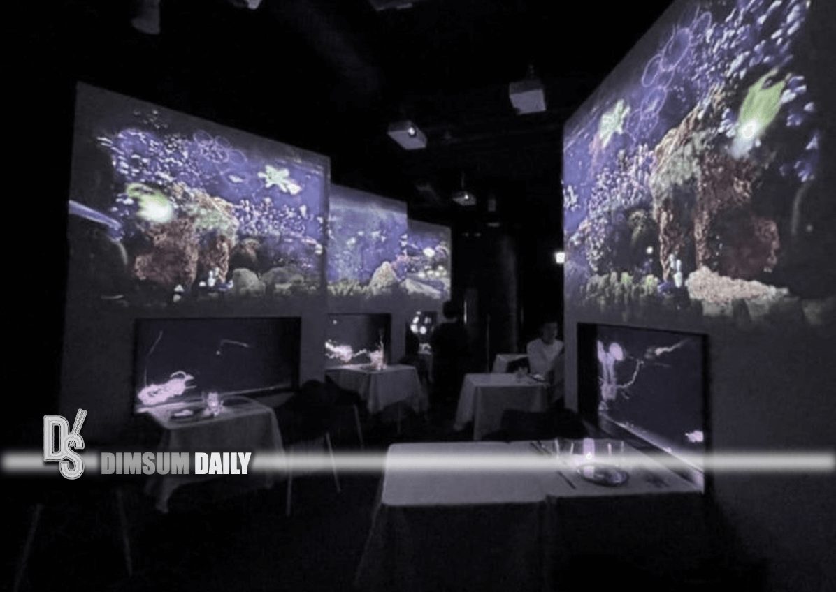 Netizen shares bad dining experience at Cube O CAFE in jellyfish-themed ...