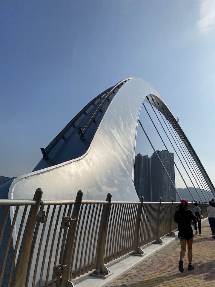 Lam Tin Interchange, Tseung Lam Highway and Wan O Road officially open ...