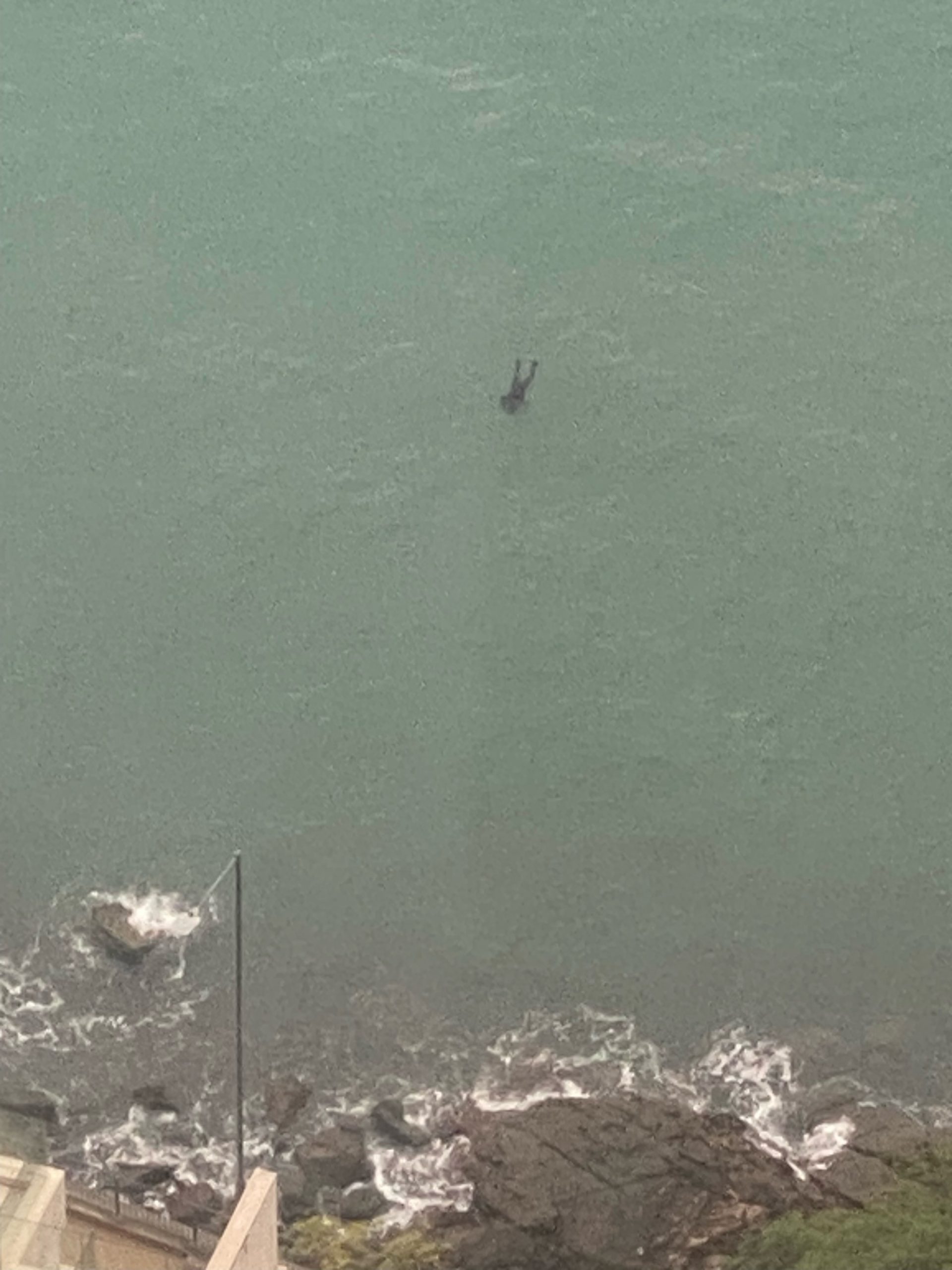 IMG_5274 - Dimsum Daily