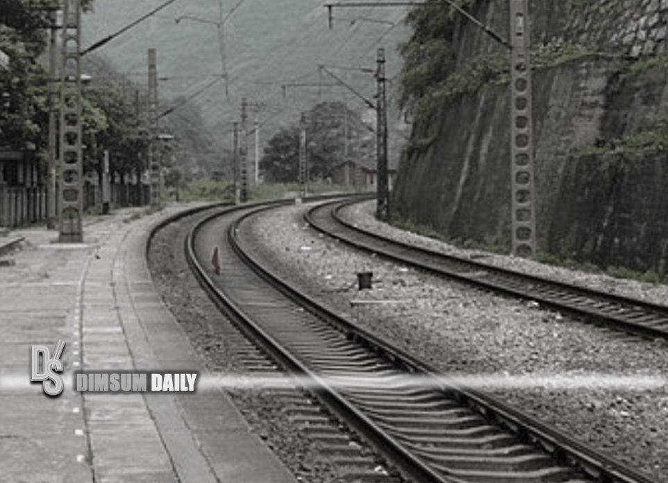Rail travel in SW China on fast track as new line opens - Dimsum Daily