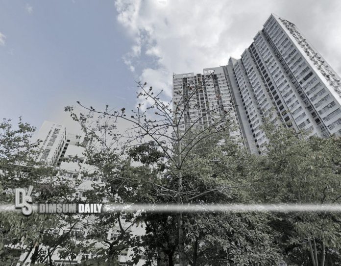 28-year-old woman jumps to her death from top of Po Ping House, Long ...