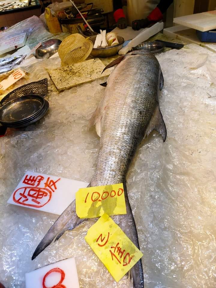 Threadfin fish sold for HK$10,000 in Tai Po Market - Dimsum Daily
