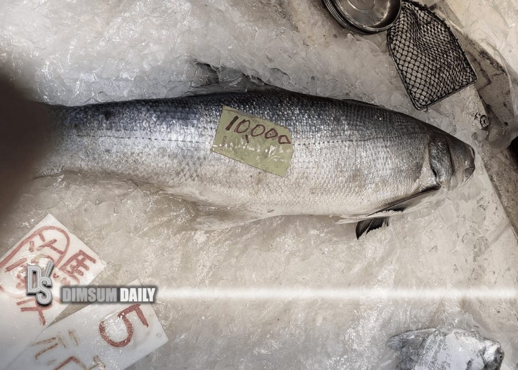 Threadfin fish sold for HK$10,000 in Tai Po Market - Dimsum Daily