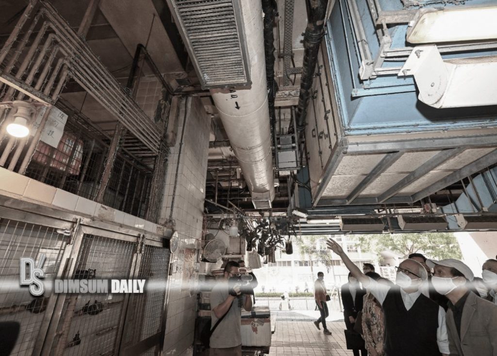 Government launches "Cross-sectoral Territory-wide Anti-rodent Action ...