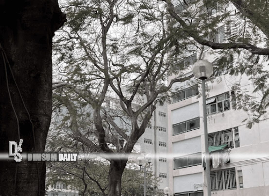 Man jumps off building at Yue Wan Estate in Chai Wan to evade police ...