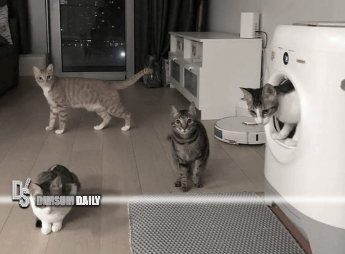 Female netizen criticised for demanding HK$16,000 from prospective ...