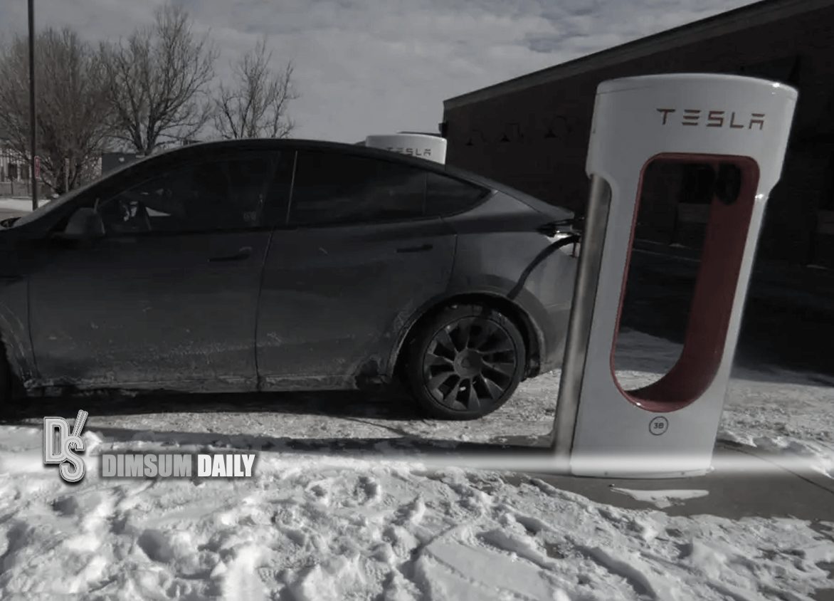 2 siblings stop 6 times in 1 day to charge their rented Tesla in cold ...