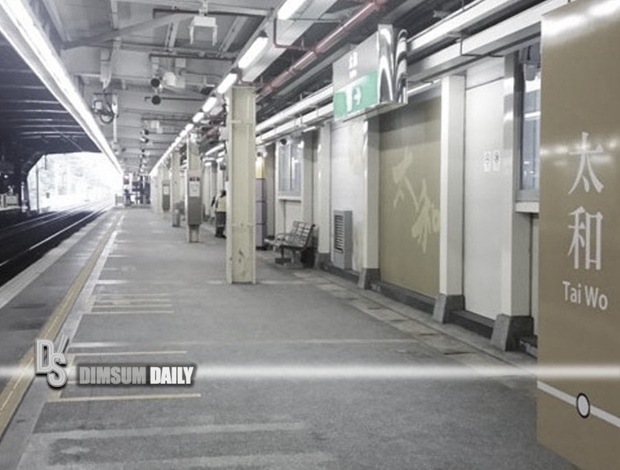 Passenger falls from platform at MTR Tai Wo Station, train services ...