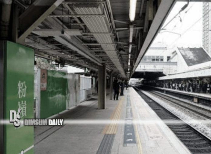 Stray dog enters railway track near MTR Fanling Station resulting in ...