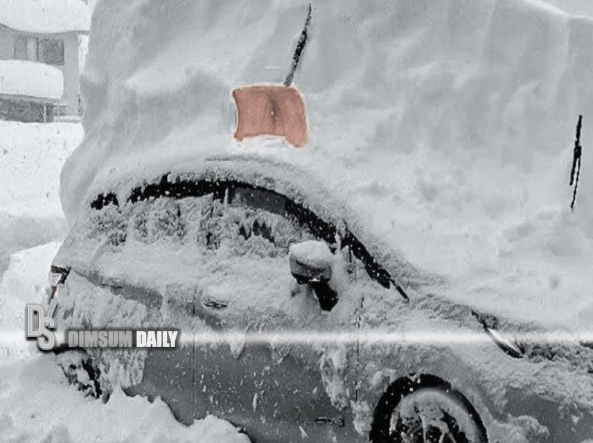 Heavy snow, powerful winds disrupt transportation in Japan - Dimsum Daily