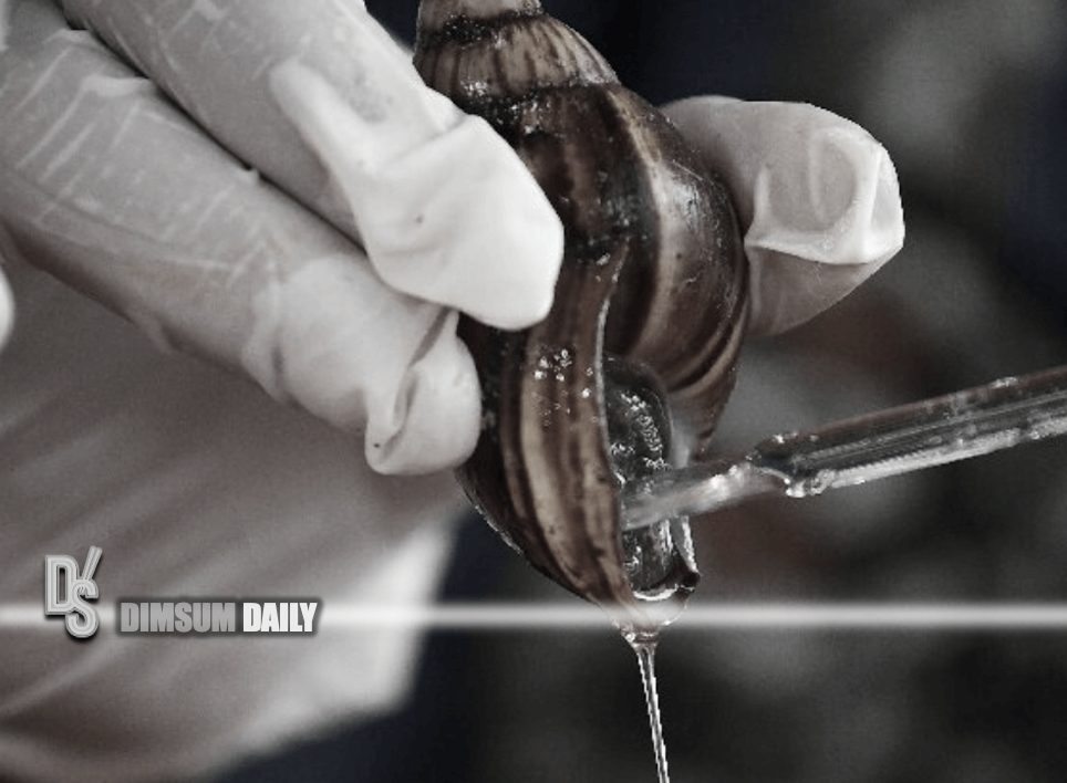 Chinese scientists develop snail mucus into adhesive for wounds ...
