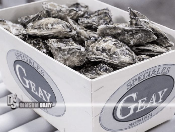 Trade instructed to suspend importing and selling of raw oysters ...