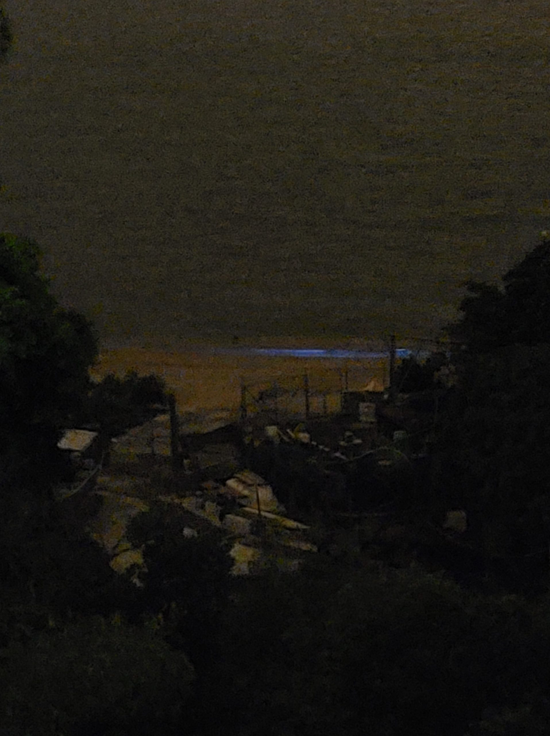 20230212_221813 - Dimsum Daily