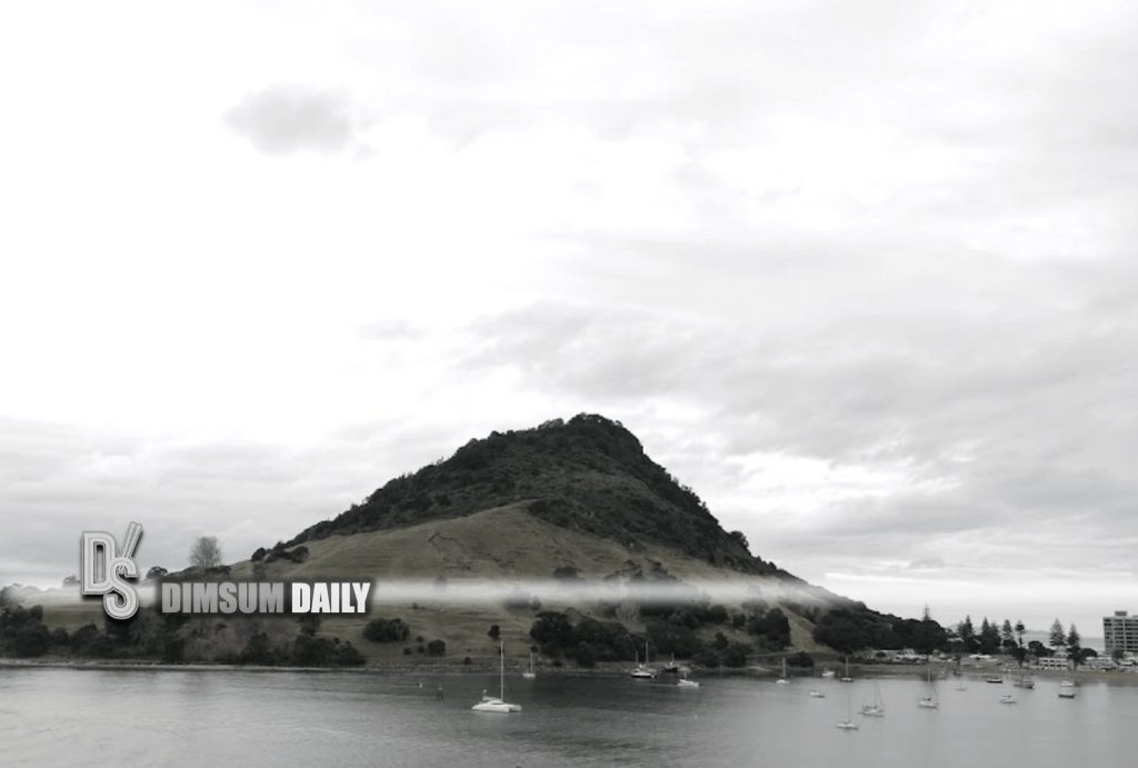 6.0-magnitude earthquake hits north New Zealand, no casualties reported ...