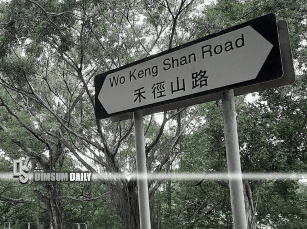 Car crashes into tree in Ping Che, driver sustains injuries - Dimsum Daily