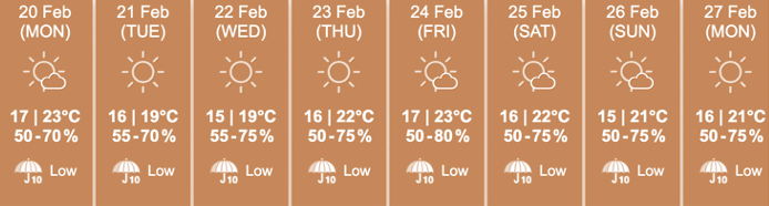Maximum temperature of 29°C recorded in some parts of New Territories ...