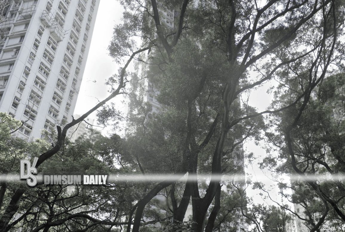 Middle-aged man jumps to his death from top of King Pik House in Hammer ...