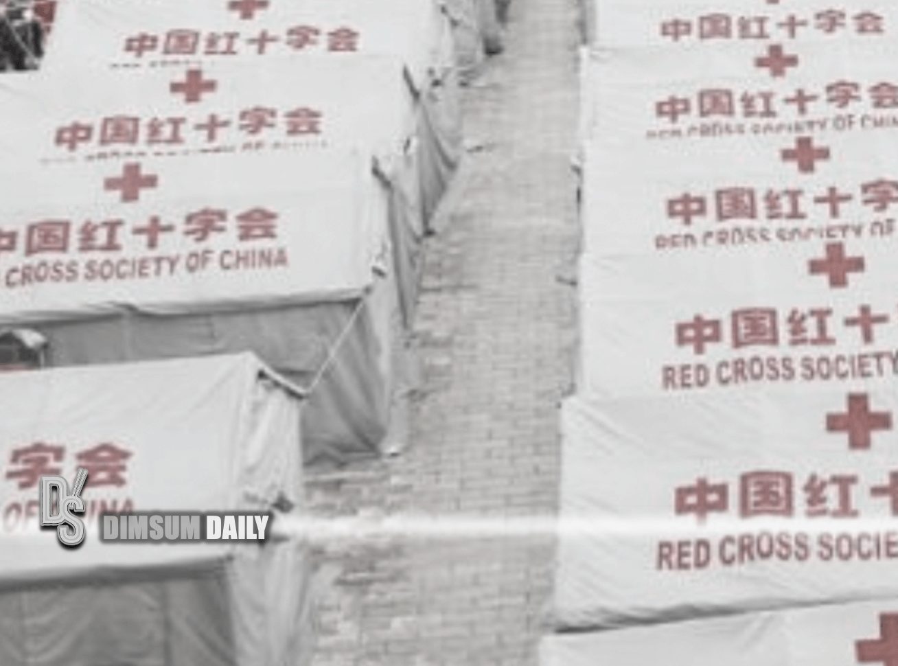 China's Red Cross delivers humanitarian aid to quake-hit Türkiye ...