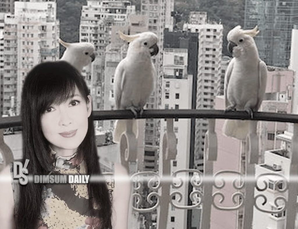 Endangered parrot species spotted on apartment balcony of HK singer ...