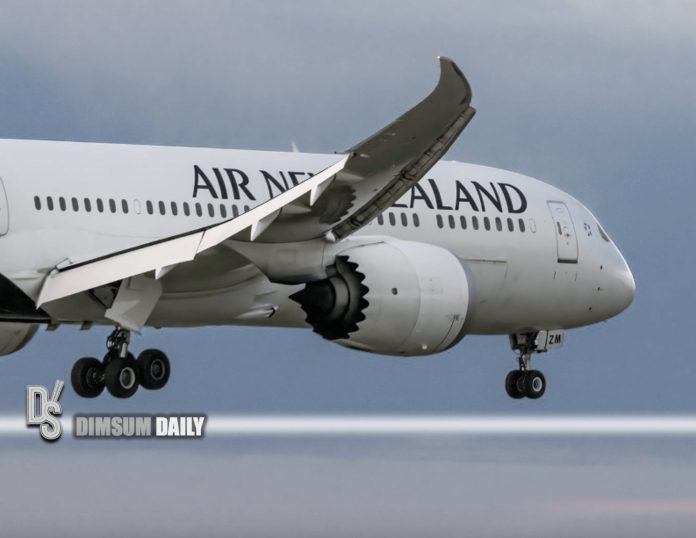 Air New Zealand flight from Auckland to New York returns to starting ...