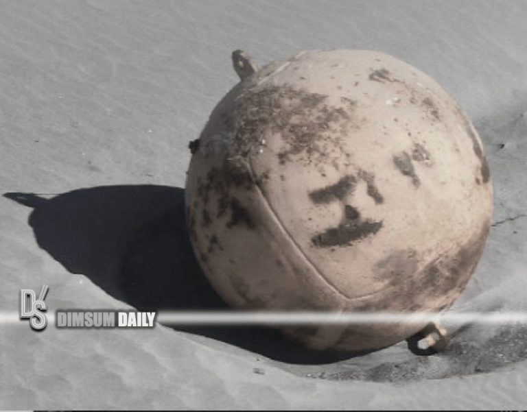 Mysterious metal sphere found on Japanese beach sparks investigation ...